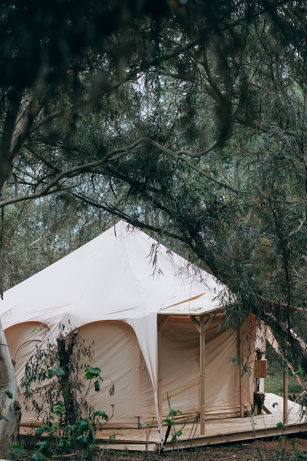 Healing Space Rishpon – Trauma Informed Learning Alliance