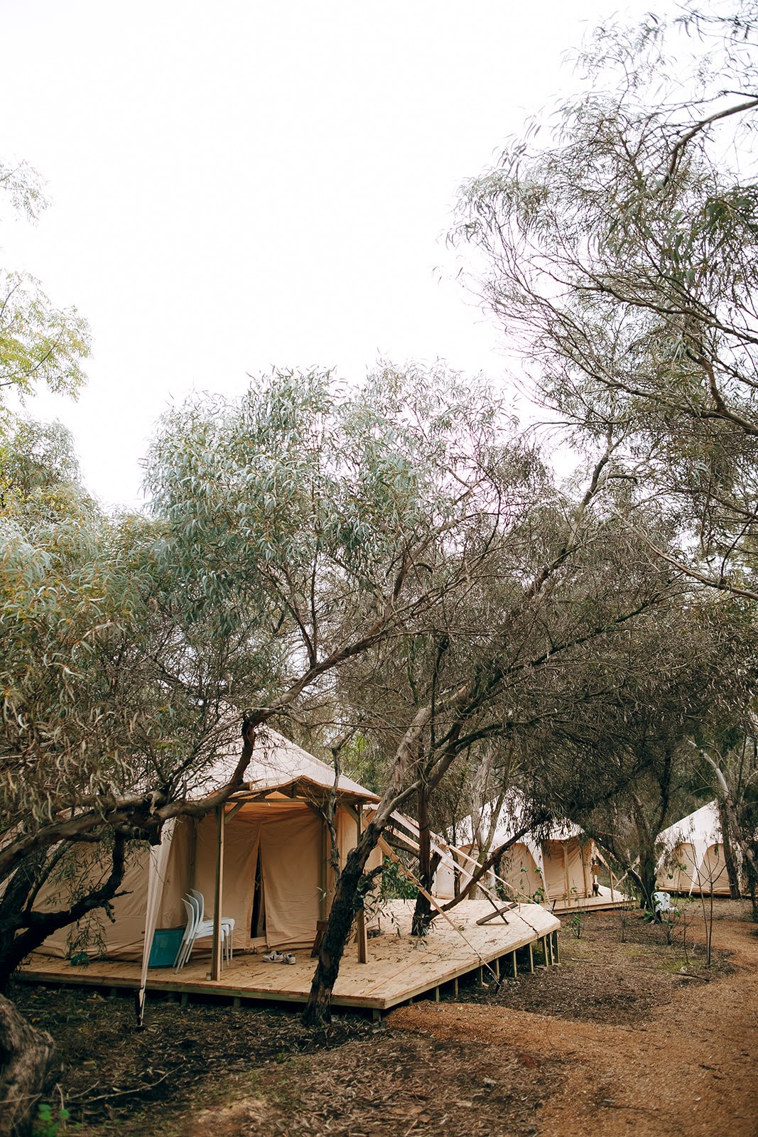 Healing Space Rishpon – Trauma Informed Learning Alliance